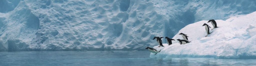 Private Pilot进阶：True Course 和 True Heading—导航中的关键概念 - A Fly and Travel Blog